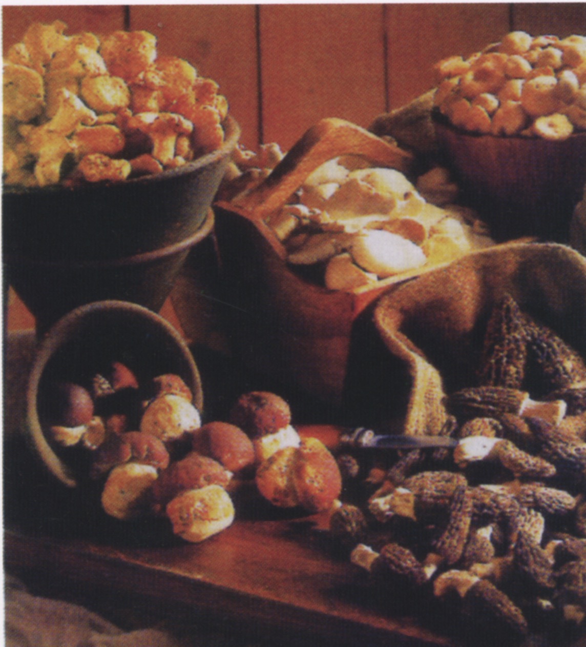 MISTO FUNGHI (Mixto de setas) RECETA - Pasta y Pizza Grossi