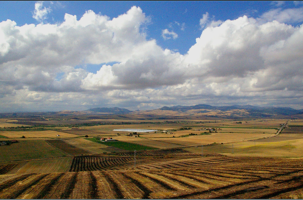 Il grano arso (el trigo arso) - Pasta y Pizza Grossi